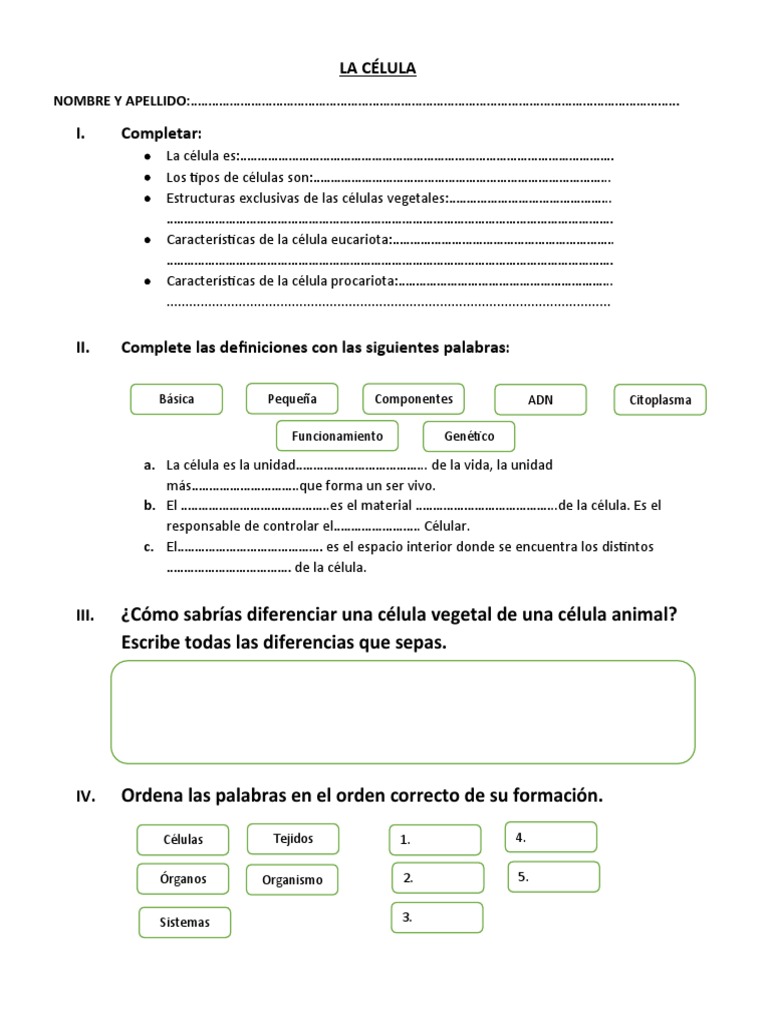 Actividades sobre la Célula para Primaria | PDF