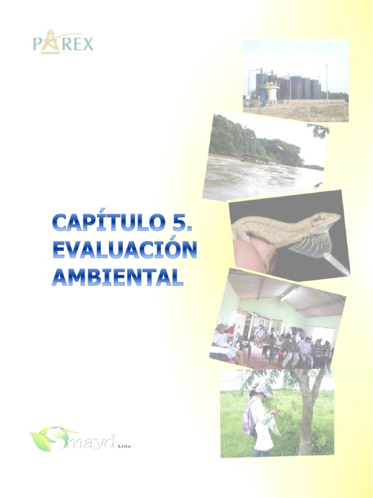 Capítulo 5. Evaluacion Ambiental | PDF | Evaluación de impacto ...