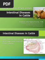 Royal Canin GI Fecal Charts - Cat - English | PDF | Human Feces | Feces