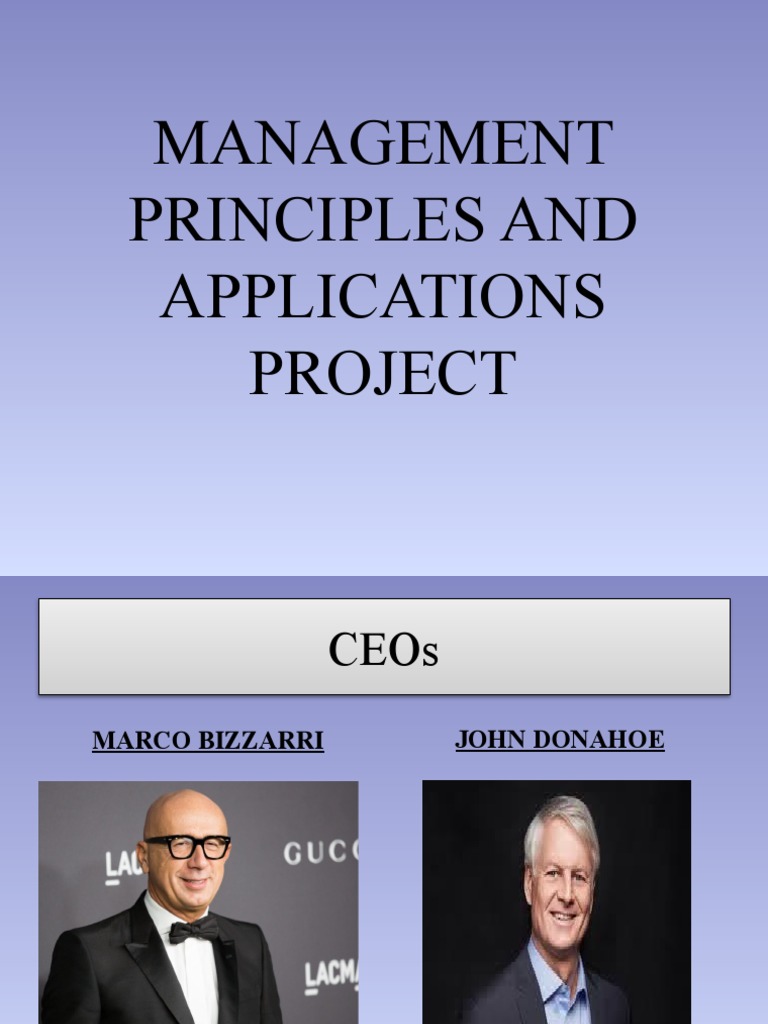 Management Principles and Applications Project | PDF