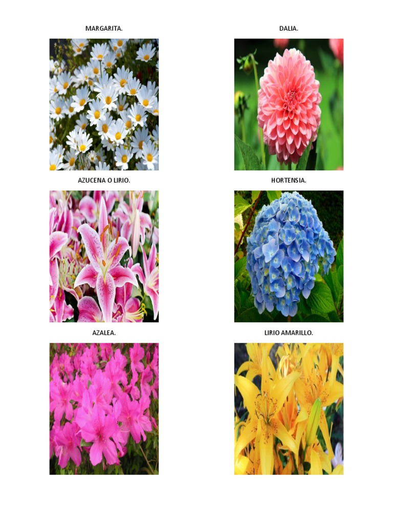 Nombres de Flores Comunes en Español | PDF