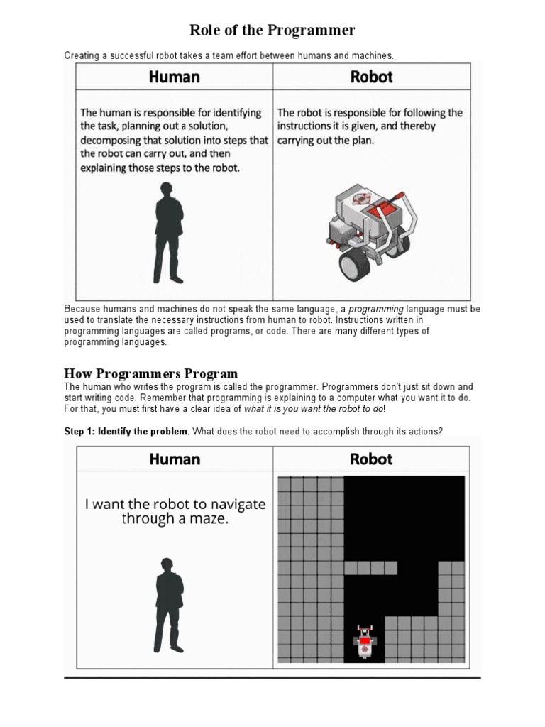 Role of The Programmer-2 | PDF