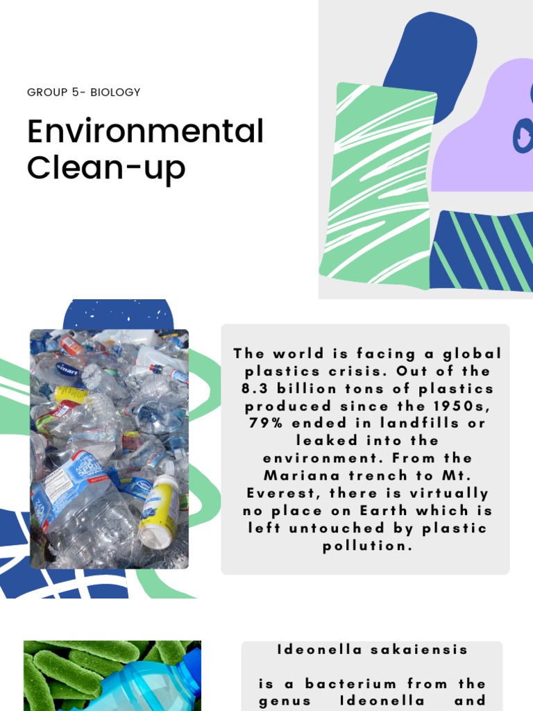 Environmental Clean-Up: Group 5-Biology | PDF | Amorphous Solid ...