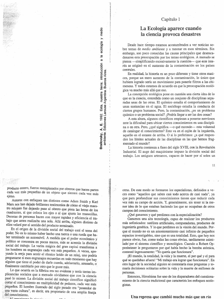 Brailovsky (1992) | PDF