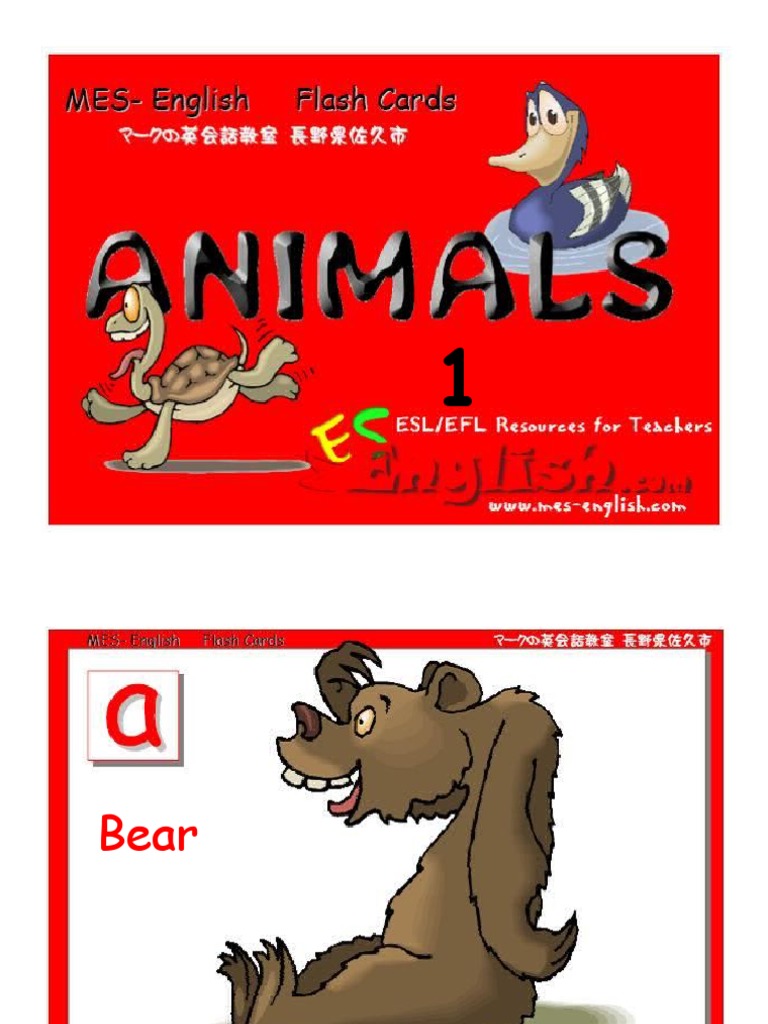 Animals 1 | PDF