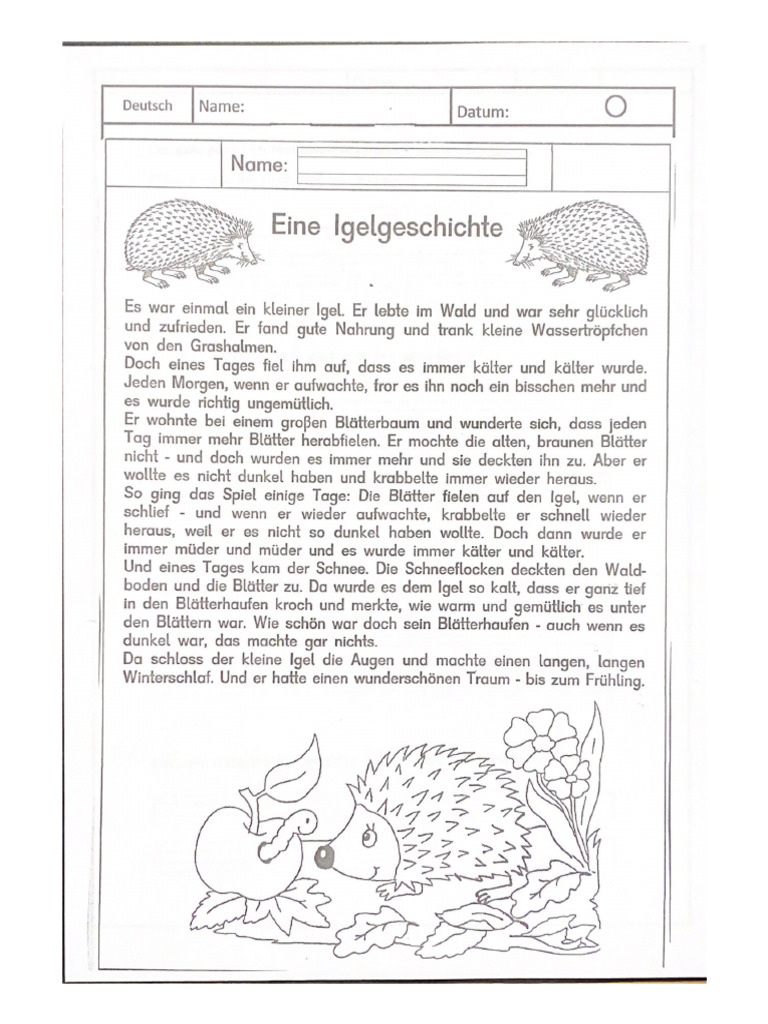 Eine Igelgeschichte-1 | PDF