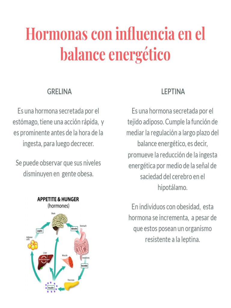 Grelina y Leptina | PDF