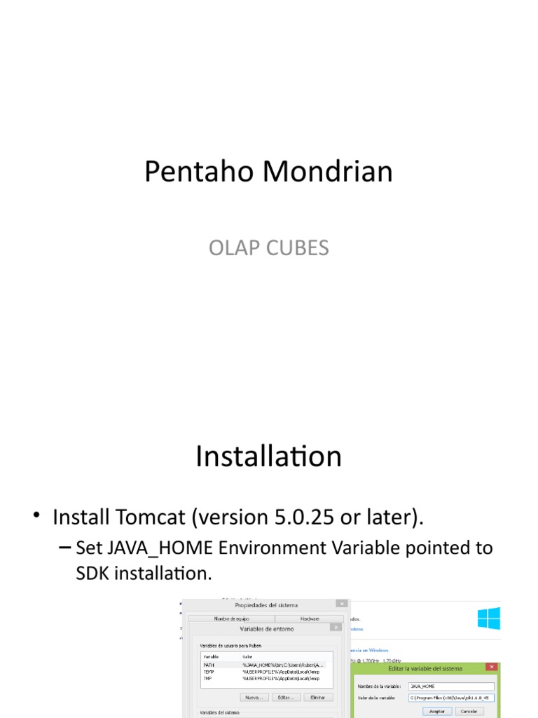 Pentaho Mondrian | Download Free PDF | Data Warehouse | Data Management