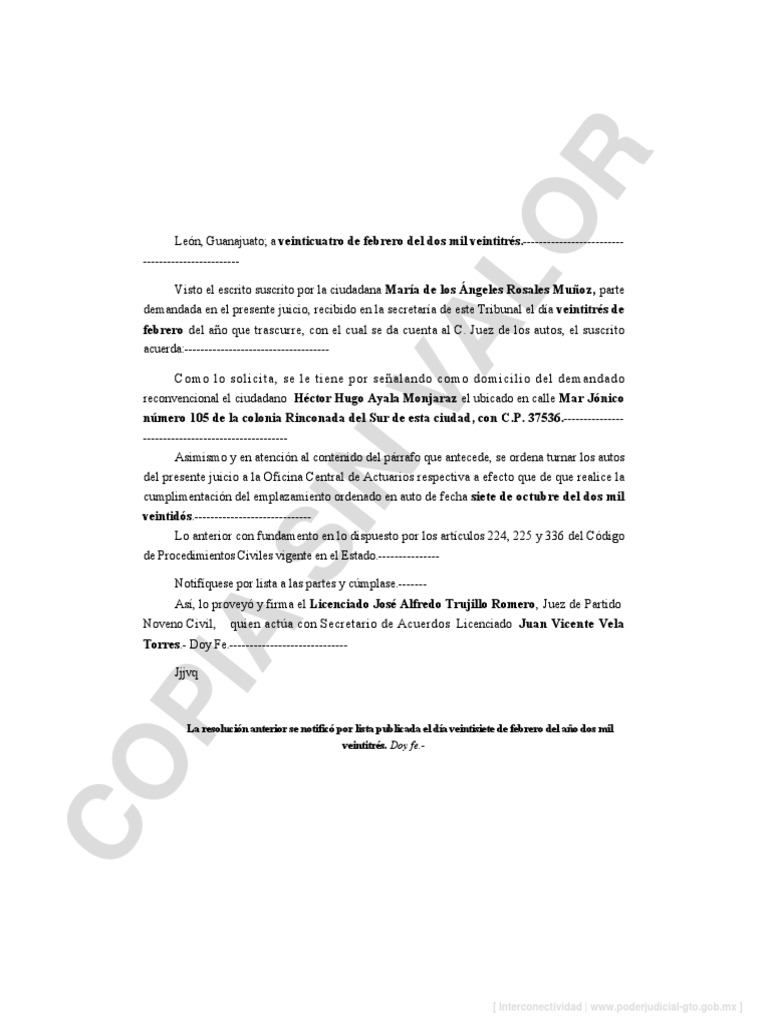 Escrito Juzgado | PDF