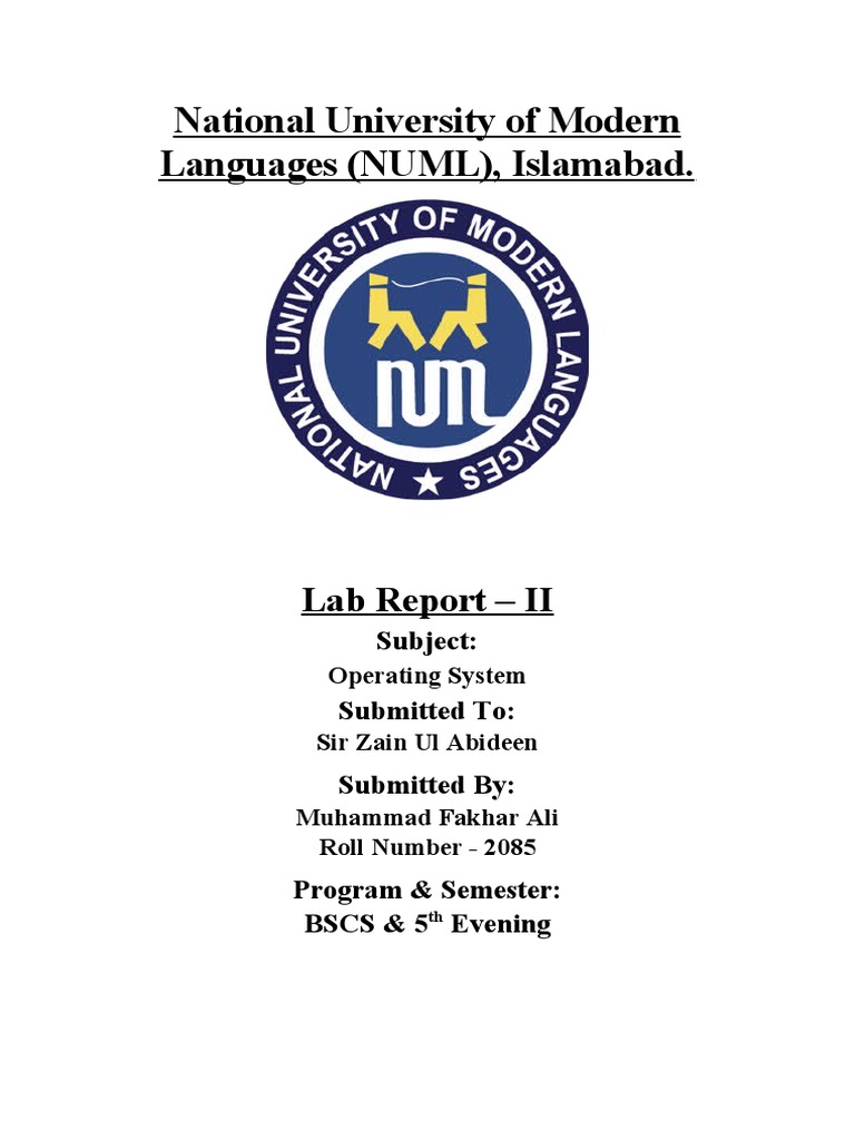 Lab Report - 2 - OS | PDF
