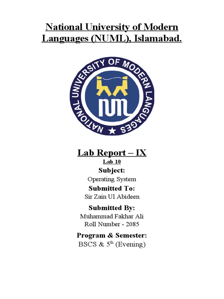 Lab Report - 9 - OS | PDF