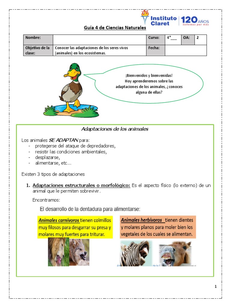 Guía 4 de Ciencias Naturales: 4° - Conocer Las Adaptaciones de Los ...