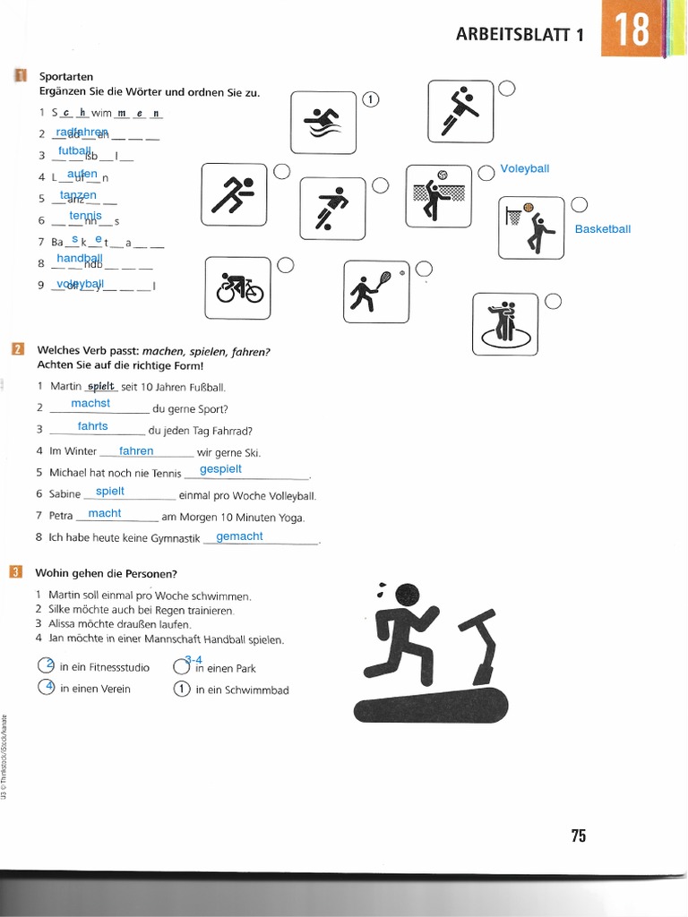 Arbeitsblatt Sport | PDF