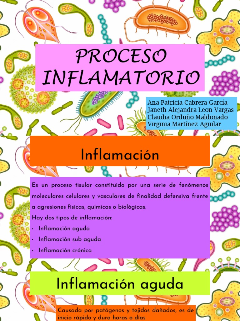 Tipos y Fases del Proceso Inflamatorio | PDF | Inflamación | Macrófago