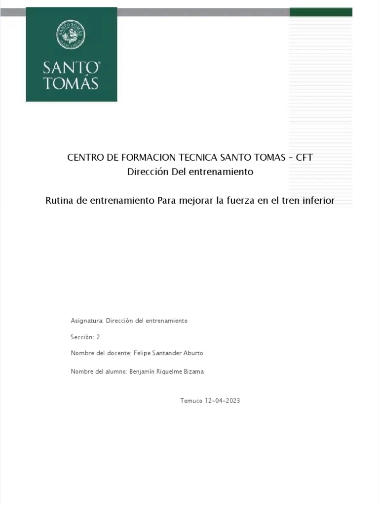 PDF Plantilla Informe Santo Tomas | PDF