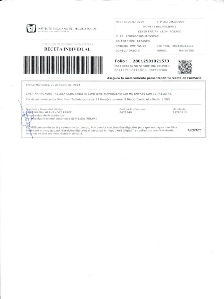 imss 2 | PDF
