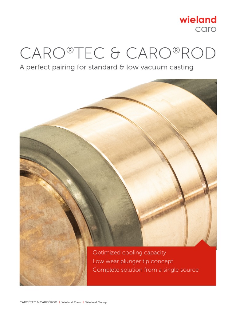 CaroTec CaroRod Technology | PDF