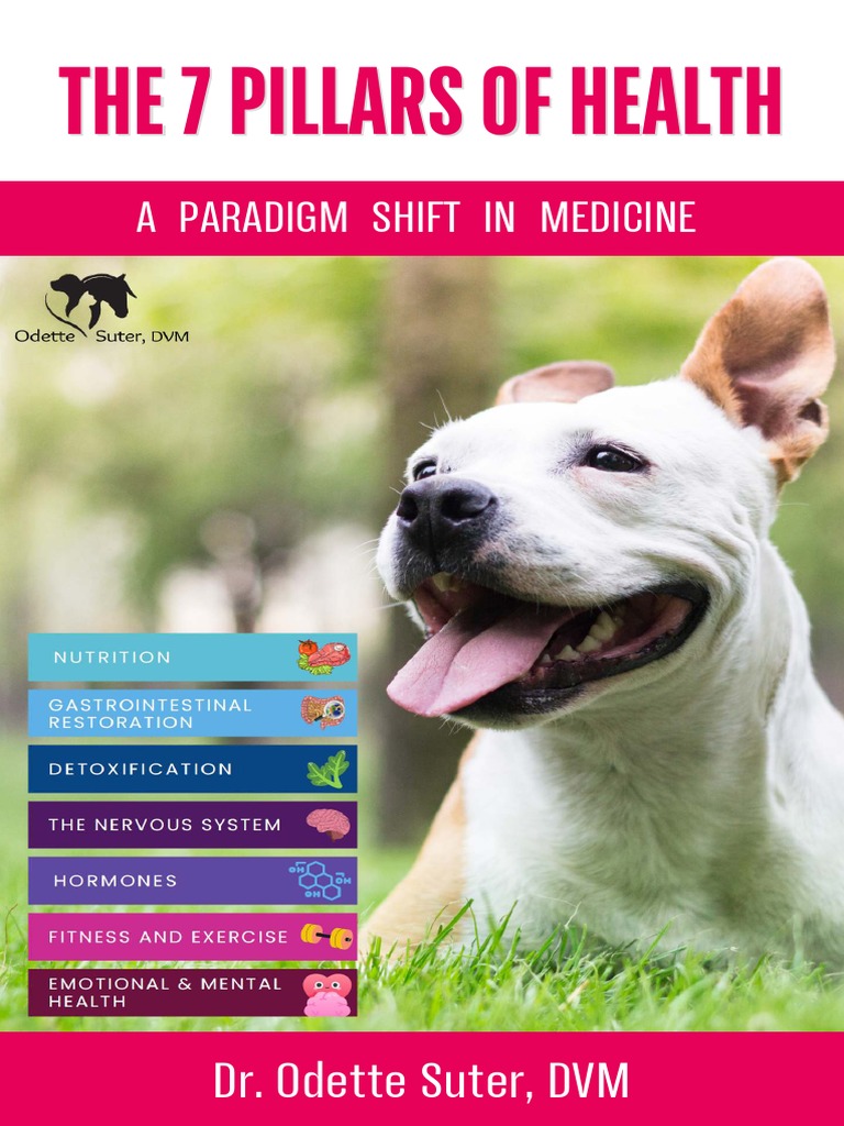 The 7 Pillars of Health Ebook | PDF | Gastrointestinal Tract | Brain