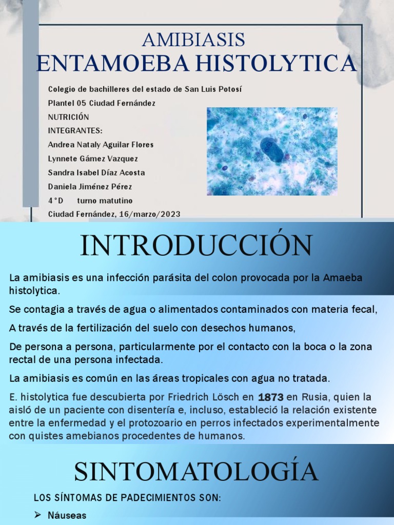 Amibiasis 4-D (1) | PDF | Especialidades Medicas | Medicina CLINICA