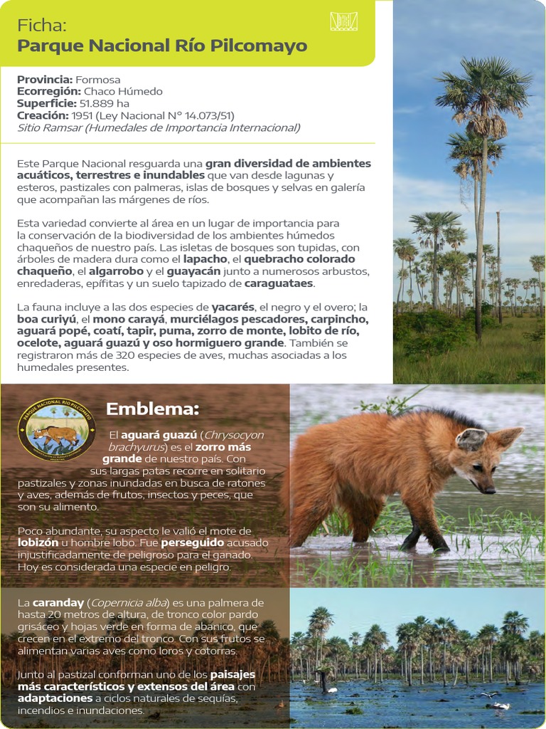 Ficha - PN Rio Pilcomayo | PDF