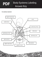 Human Body Systems for 6th Graders | PDF | Lung | Human Body