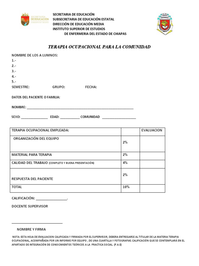 Hoja de Evaluacion de Terapia Ocupacional | PDF