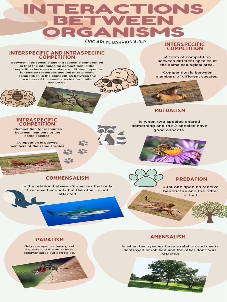 Organism Interactions Types | PDF