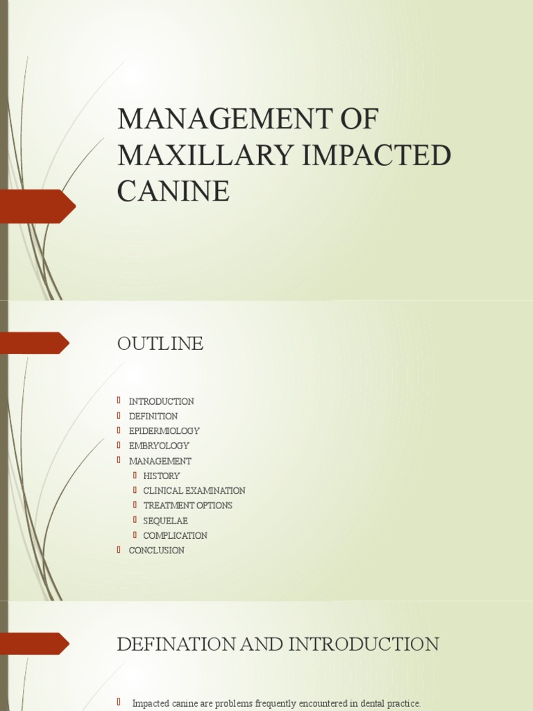 Management of Impacted Canine | PDF | Ct Scan | Dental Anatomy