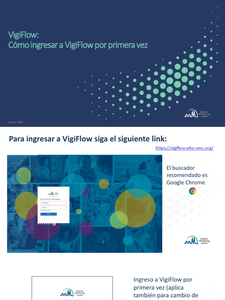Como Acceder A Vigiflow | PDF | Contraseña | Ofuscación