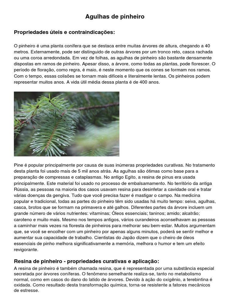 As muitas propriedades curativas e usos da resina de pinheiro | PDF ...