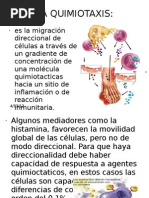 Células Lábiles | PDF | Relaciones personales, crianza y desarrollo ...