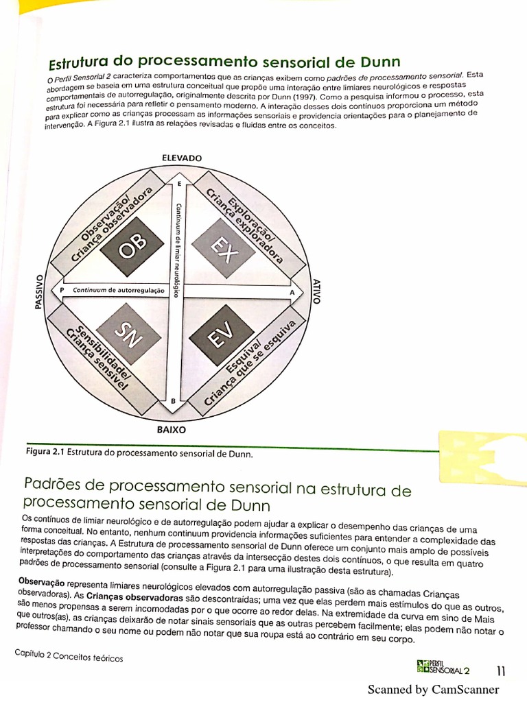 Perfil Sensorial 2 | PDF