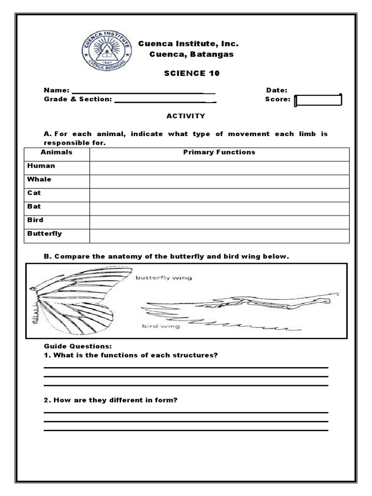 Animal Limb Movement and Anatomy Comparison | PDF | Technology ...