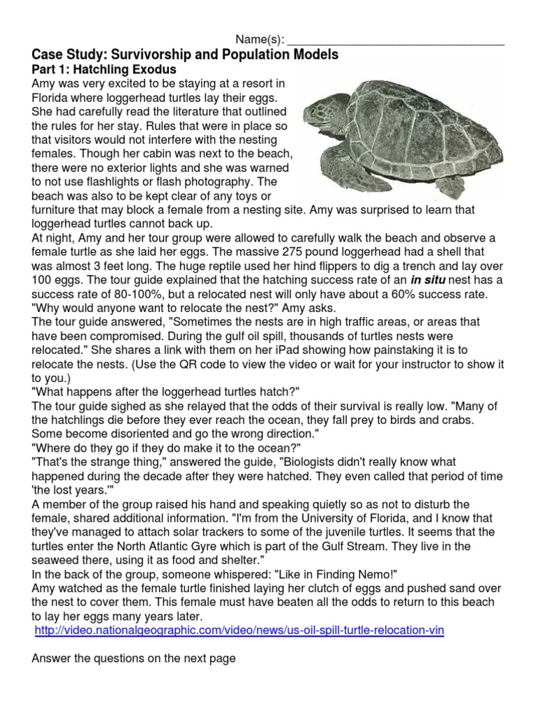 Monday | PDF | Sea Turtle | Turtle