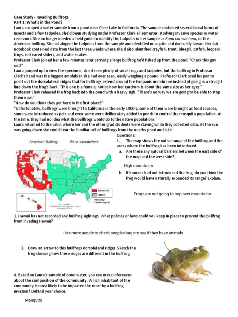 Controlling Invasive Bullfrog Populations | PDF | Frog | Amphibian