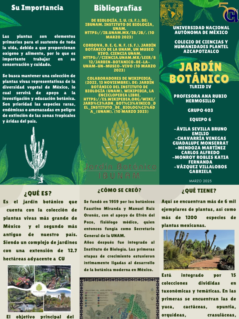 Jardín Botánico | PDF | Botánica