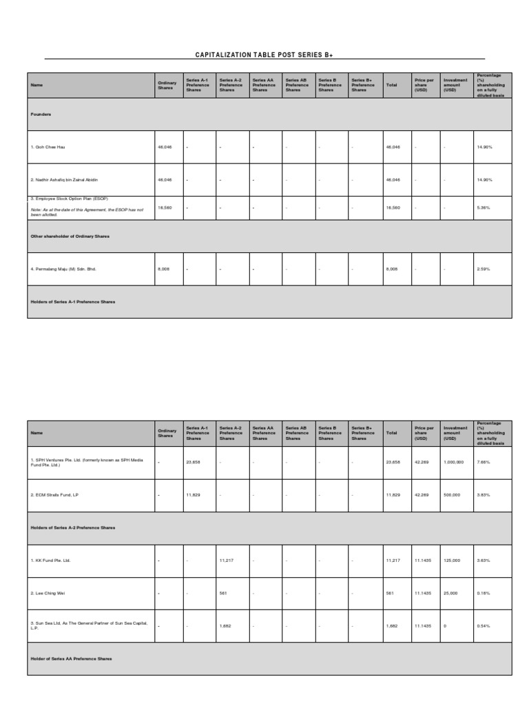 Series B+ Capitalization Table Overview | PDF | Financial Markets ...