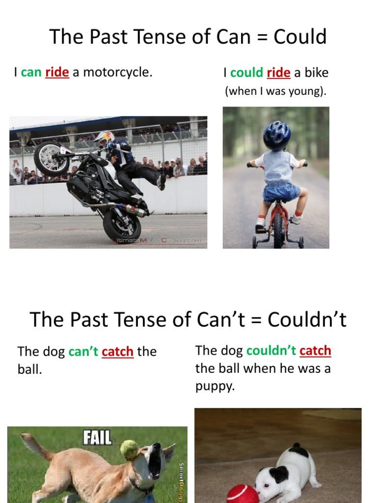 Past Tense Modals Explained | PDF | Modal Logic | Grammatical Tense