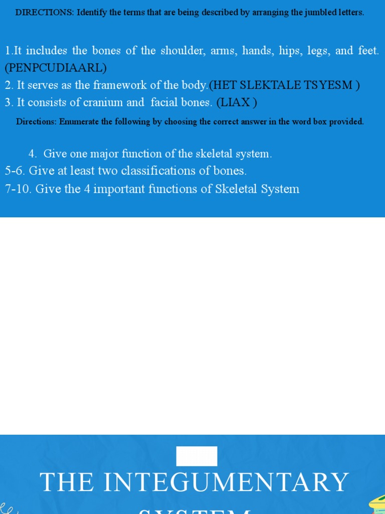 Integumentary System | PDF | Integumentary System | Skin