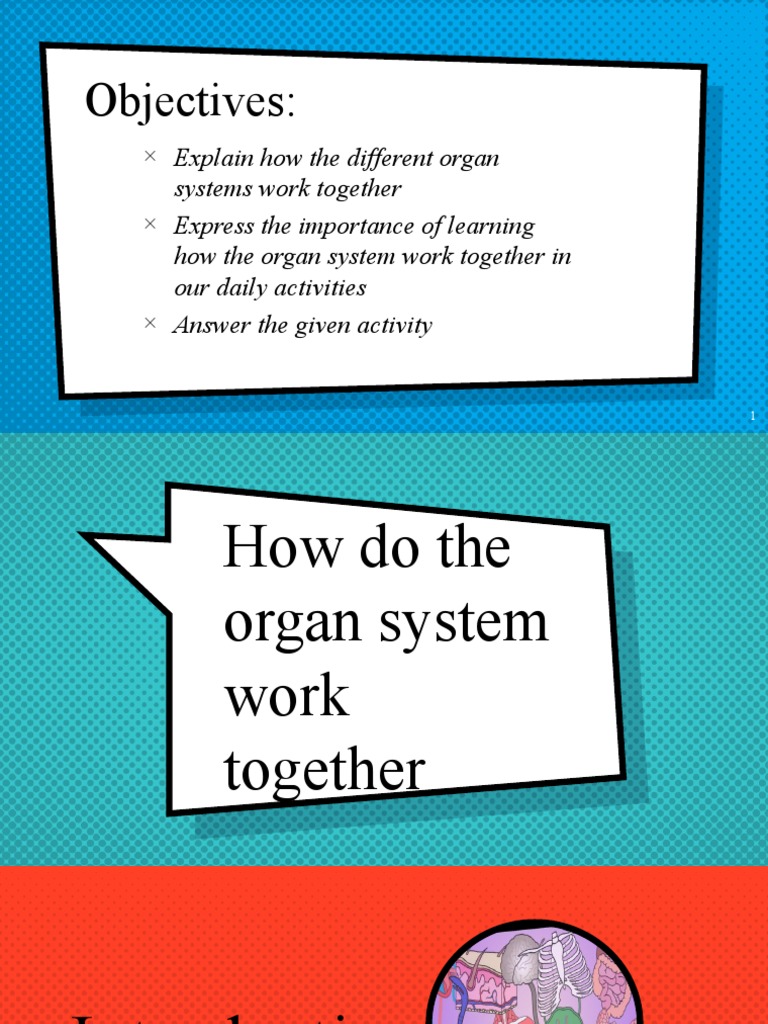m3 How Do Organ System Work Together | PDF | Human Body | Lung