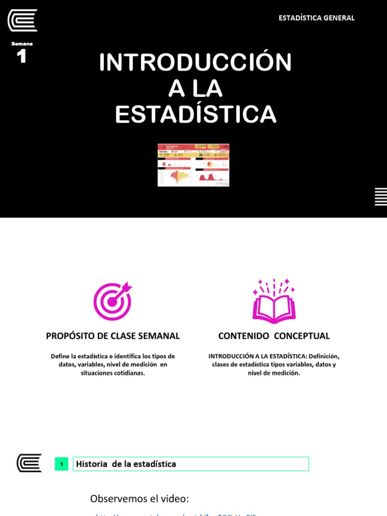 Introducción A La Estadística | PDF | Estadísticas | Nivel de medida