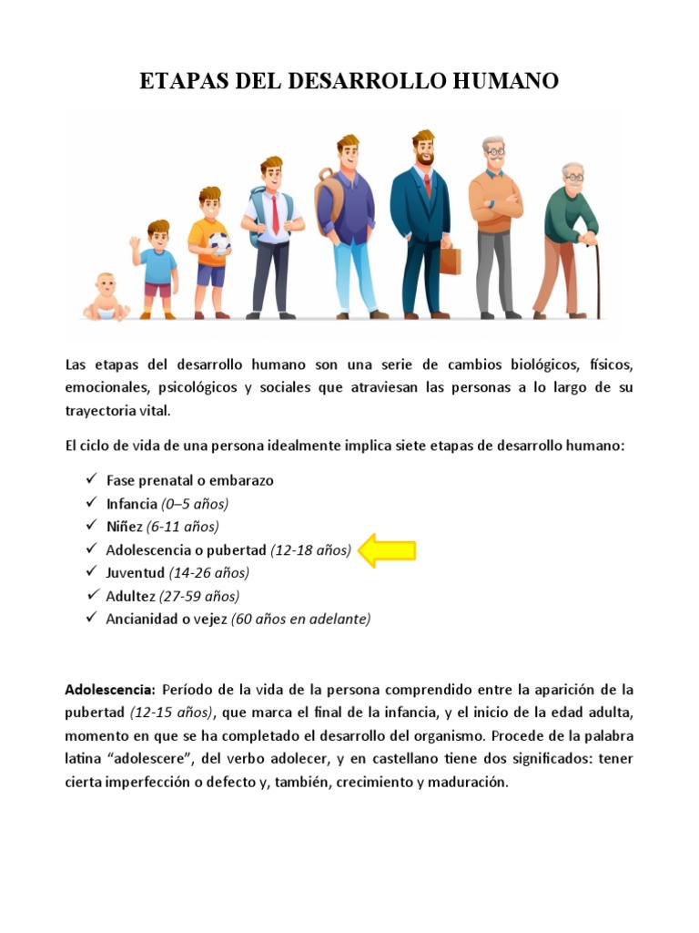Etapas Del Desarrollo Humano | PDF