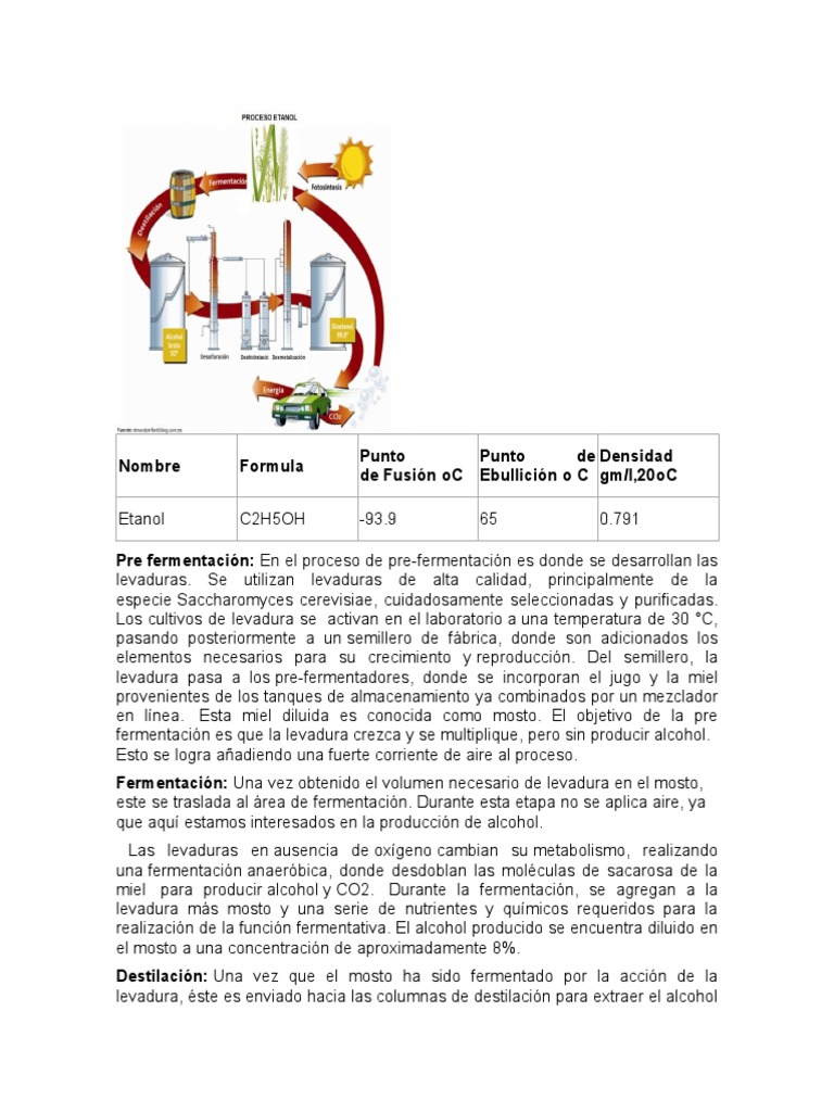 Laboratorio Alcohol | PDF | Etanol | Fermentación