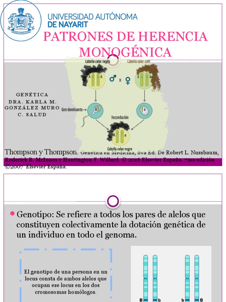 Patrones de Herencia Monogénica Completo | PDF | Alelo | Dominancia ...