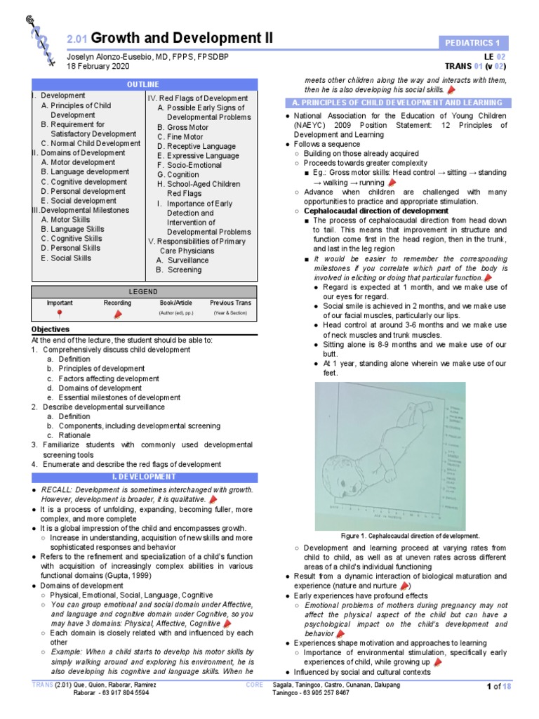 Growth and Development II | PDF | Child Development | Neuroscience