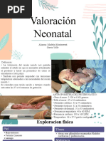 Micro, Matro y Macroambiente PDF | PDF | El embarazo | Embarazo Mamífero