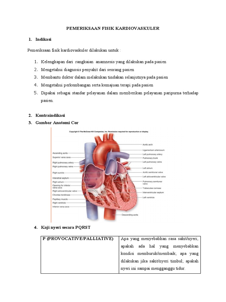 Pemeriksaan Fisik Kardiovaskuler | PDF