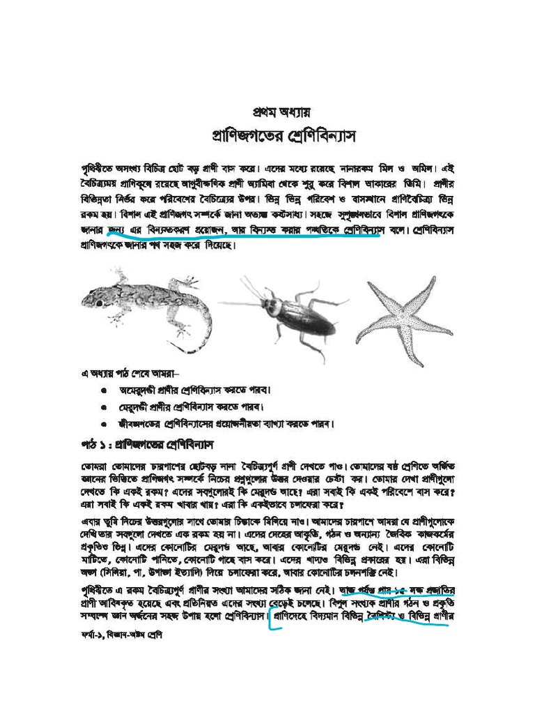 Class - 8 - Science ch-1 Highlighted | PDF