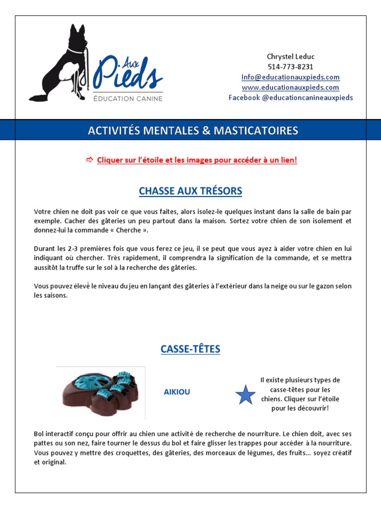 Activités ludiques pour chiens à domicile | PDF | Chiens | Cuisine de l ...