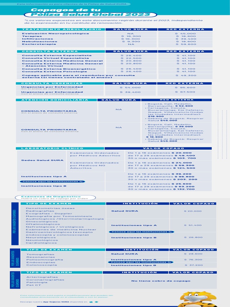 Copagos En La Poliza De Salud Global Pdf Teoría De La Medicina